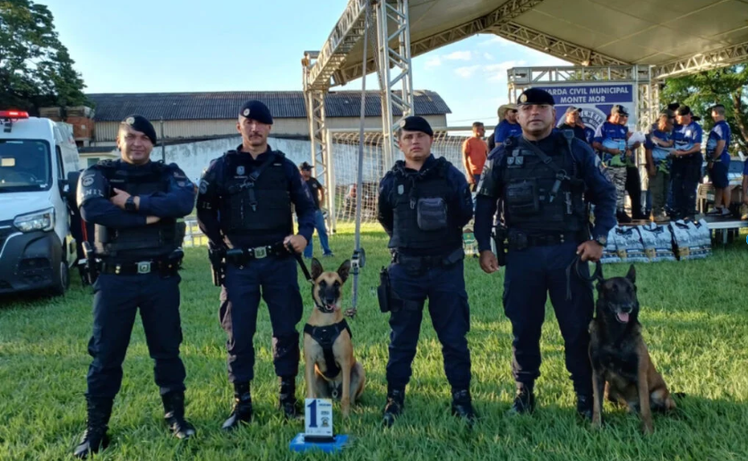 Uma das melhores do país: Canil de Jundiaí é campeão em Torneio de Cães ...